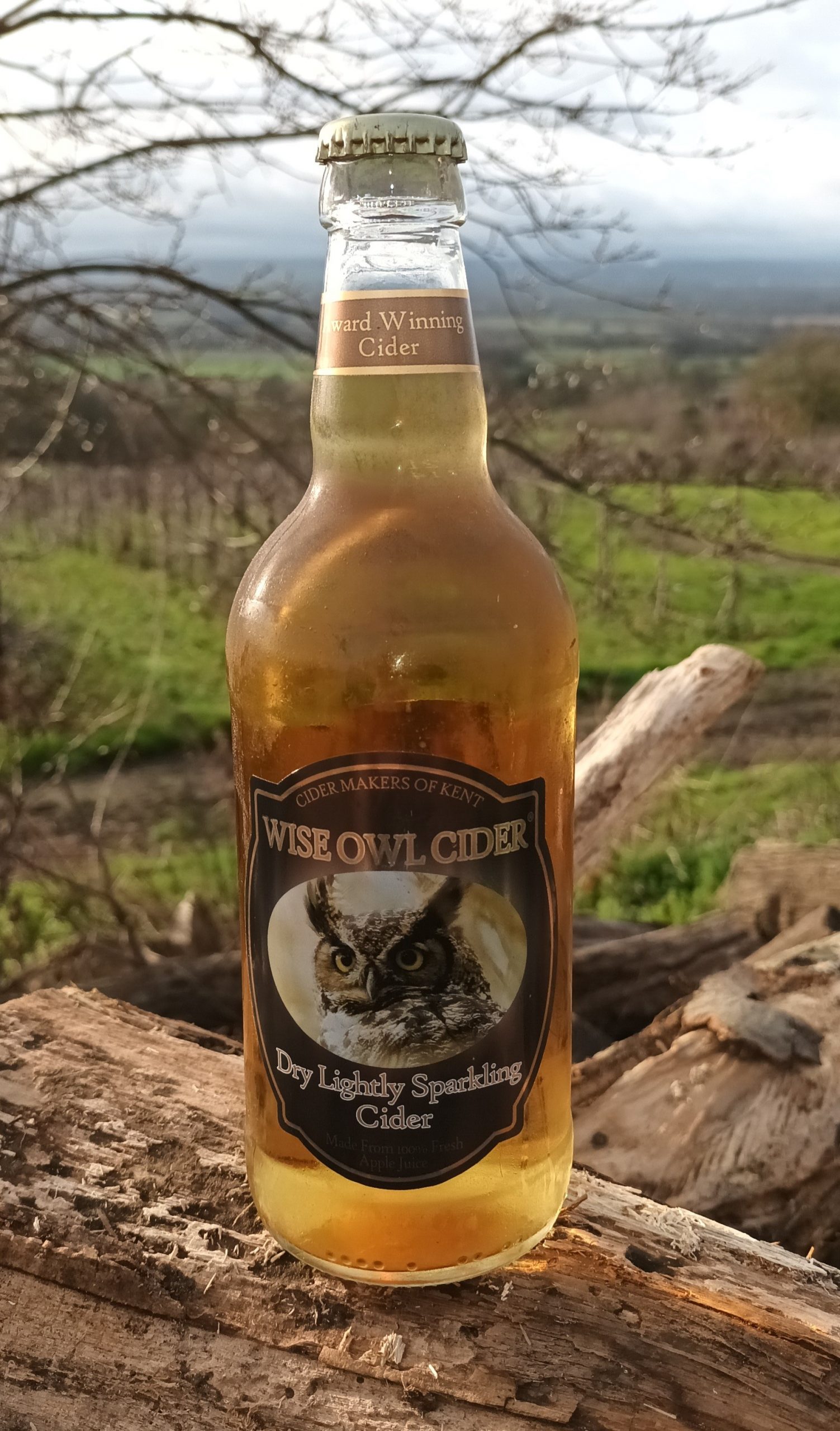 Dry Lightly Sparkling Cider | Wise Owl Cider Ltd | Award Winning Cider